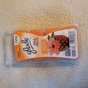 Glade | Accents | Glade Wax Melts | Poshmark